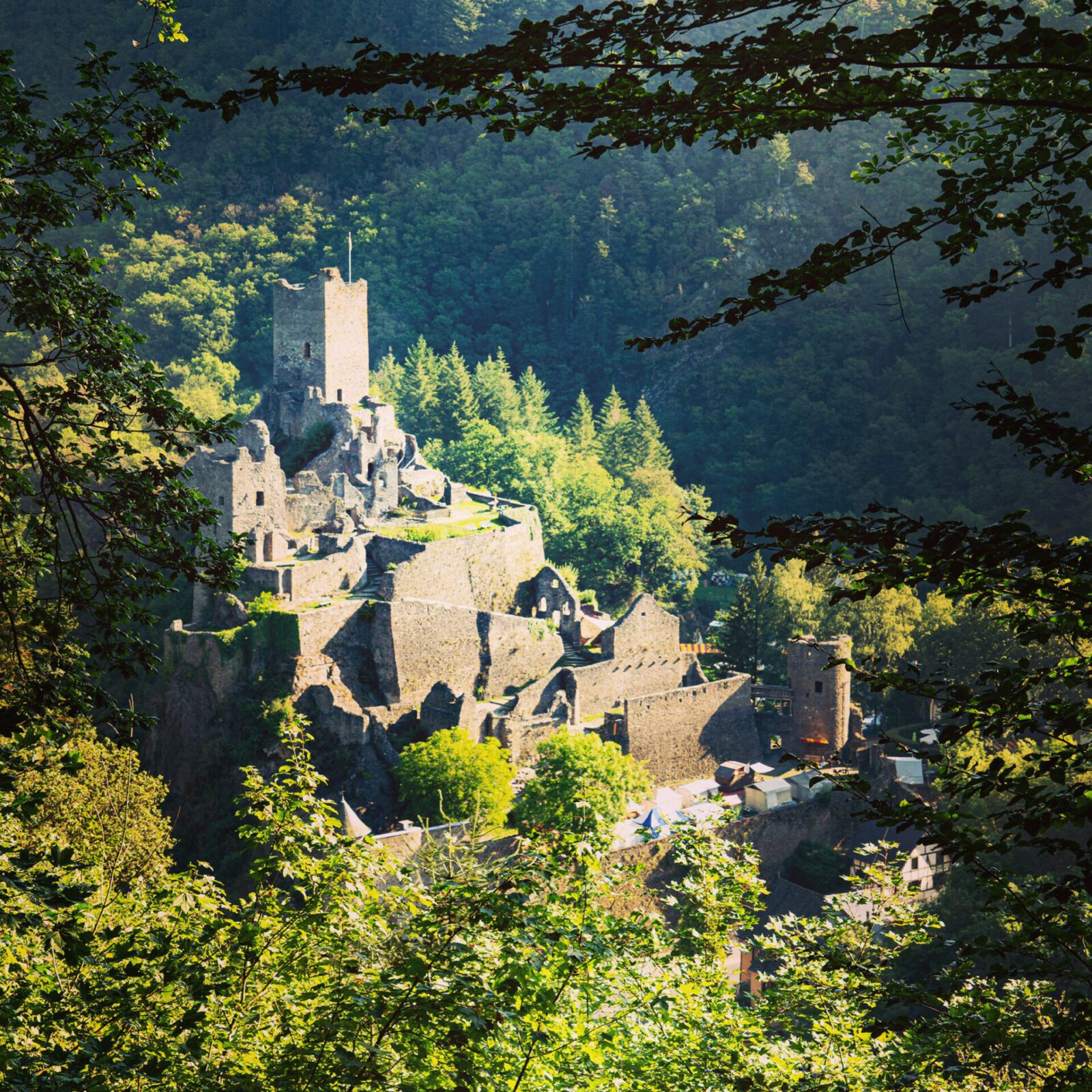 Die Niederburg – Manderscheider Burgen