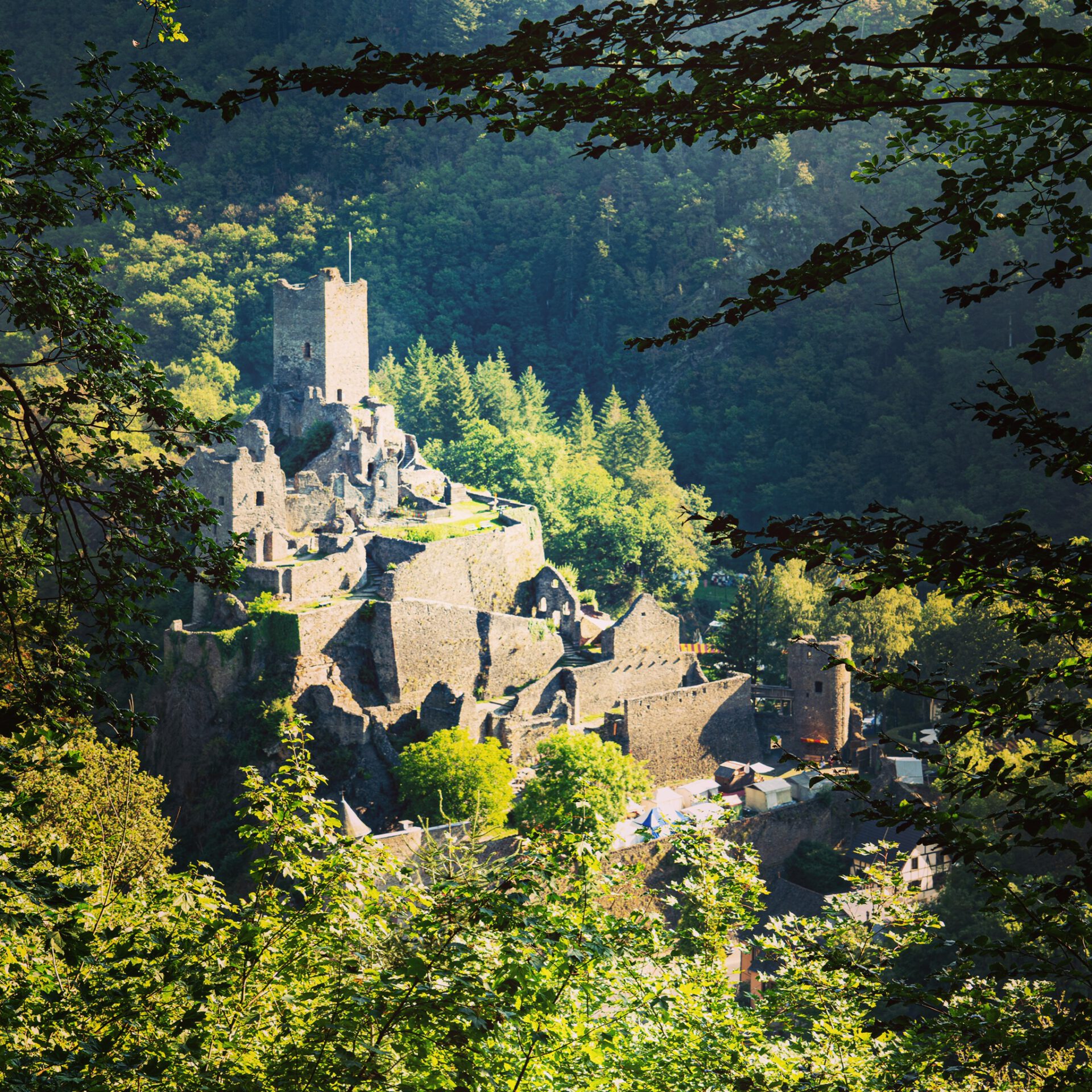 Die Niederburg – Manderscheider Burgen