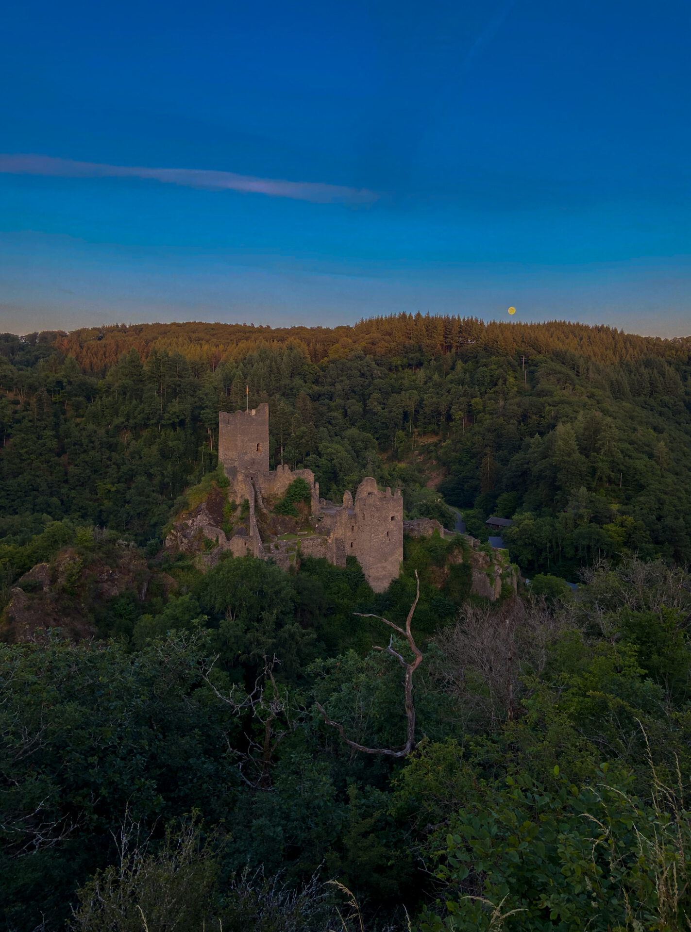 Die Niederburg – Manderscheider Burgen
